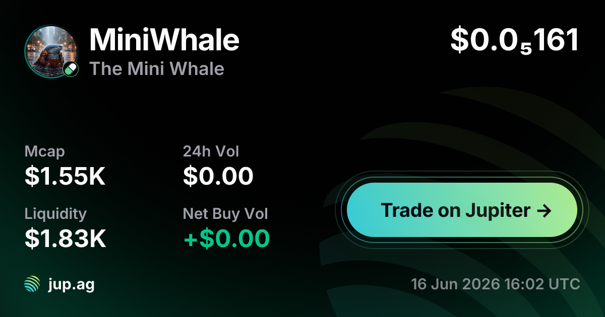 The Mini Whale price today, MINIWHALE to USD live price chart ...